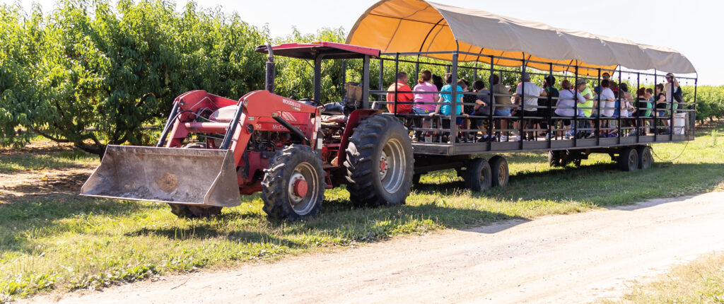 Home - Scott's OrchardScott's Orchard